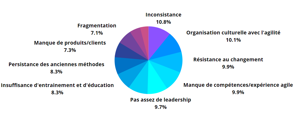 Livre blanc : Agile 20 ans, ça donne quoi ? - Delf
